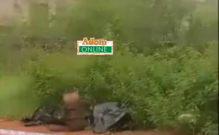 Woman Found Dead With Body Parts Missing