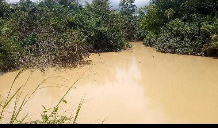 Livelihoods of 35,000 farmers in danger as illegal mining pollutes ...
